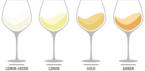 Colours of Wine and What They Reveal | Ratcliffe & Co Wines